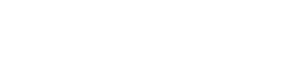 Icon Login | Caremerge + VoiceFriend Login Pages